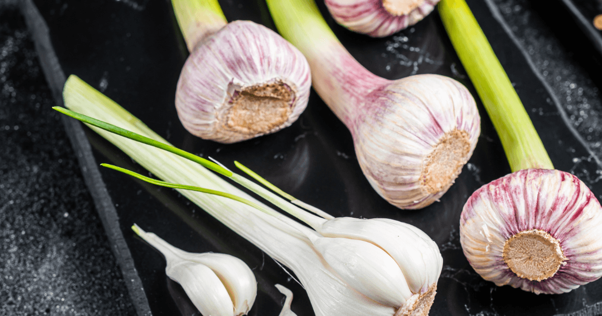 What is Green Garlic? A Culinary Exploration | The Seasoning Road