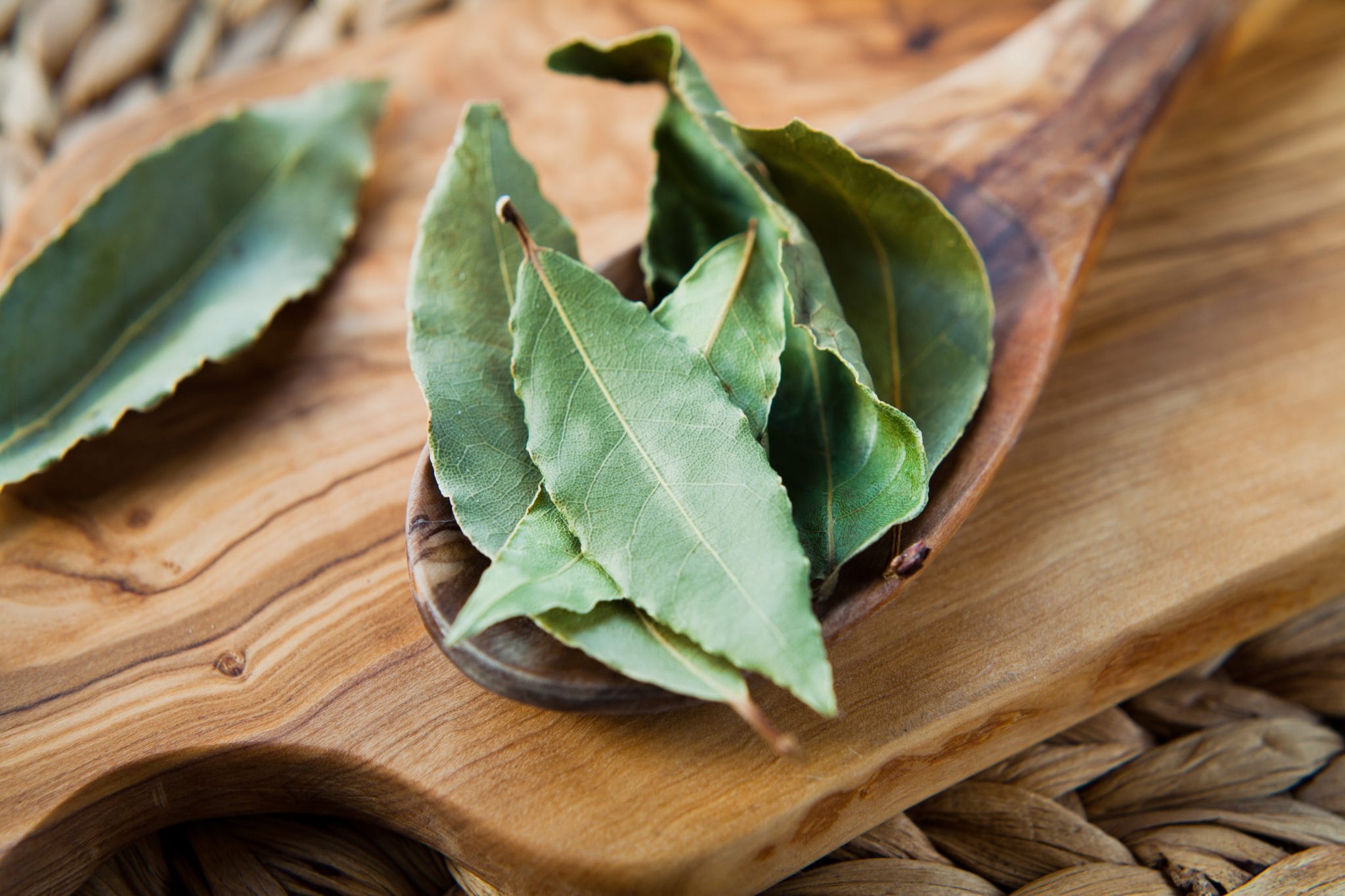 Bay Leaves: A Versatile Herb Beyond the Kitchen | The Seasoning Road