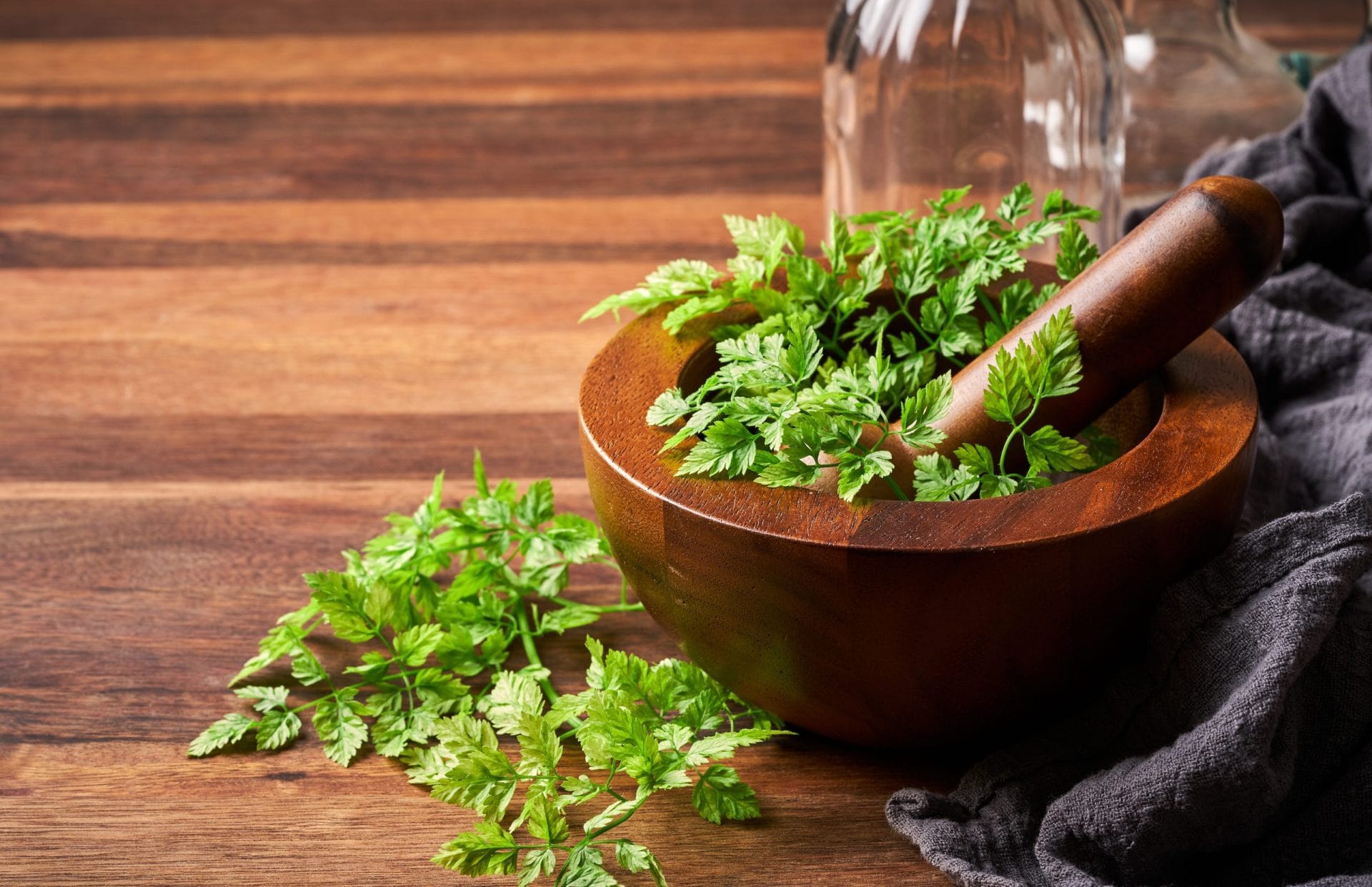 The Delicate Herb: Chervil is a Subtle Elevation Secret | The Seasoning ...