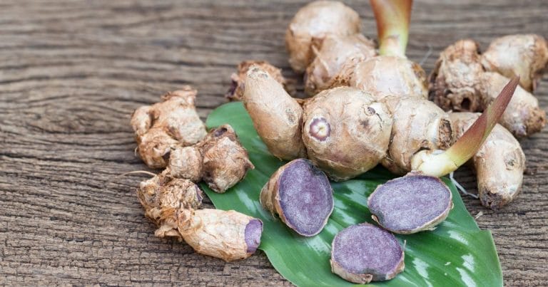 Black Ginger: Unveiling the Mysterious Superfood | The Seasoning Road