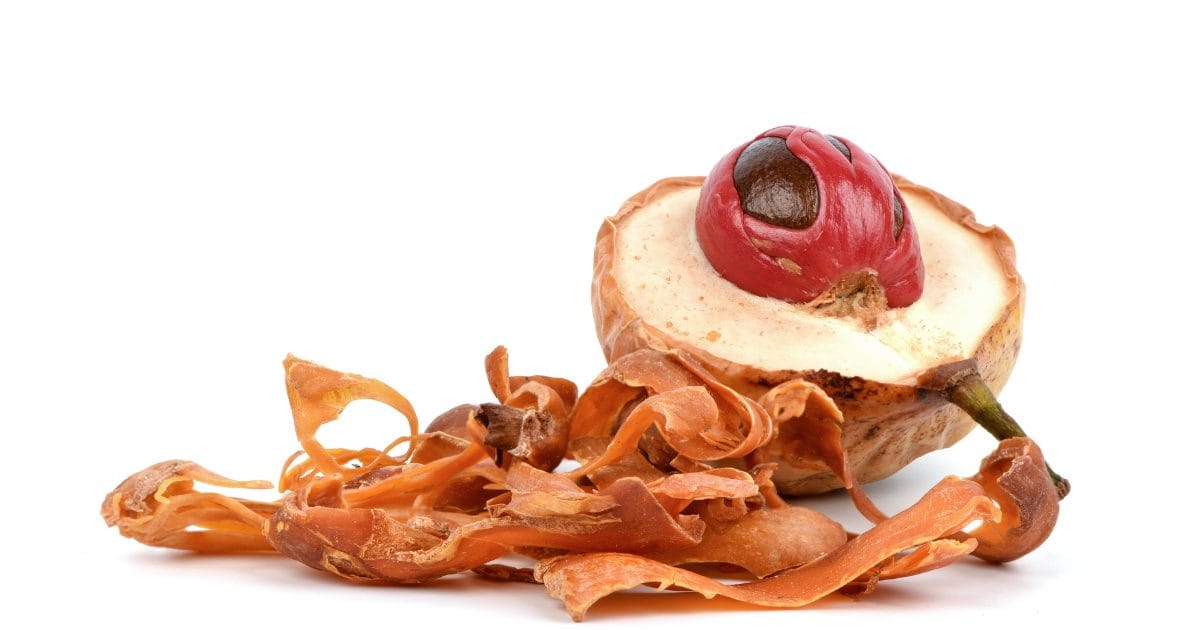 What is Mace: The Aromatic Spice Explained | The Seasoning Road