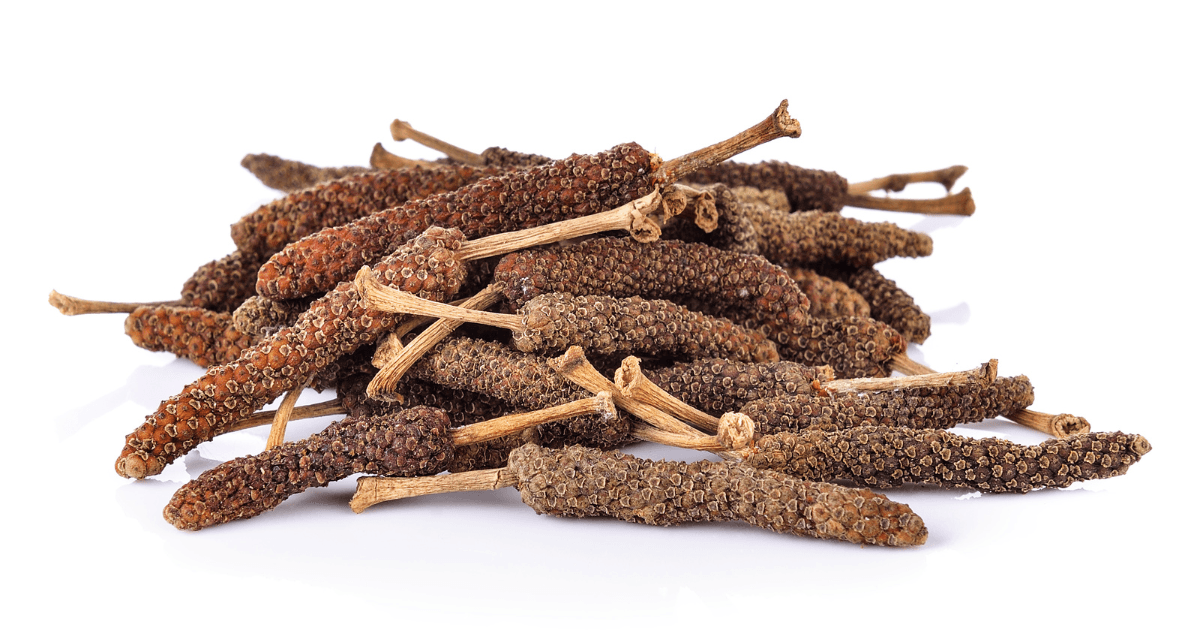 What is Long Pepper: The Spice of Fables | The Seasoning Road
