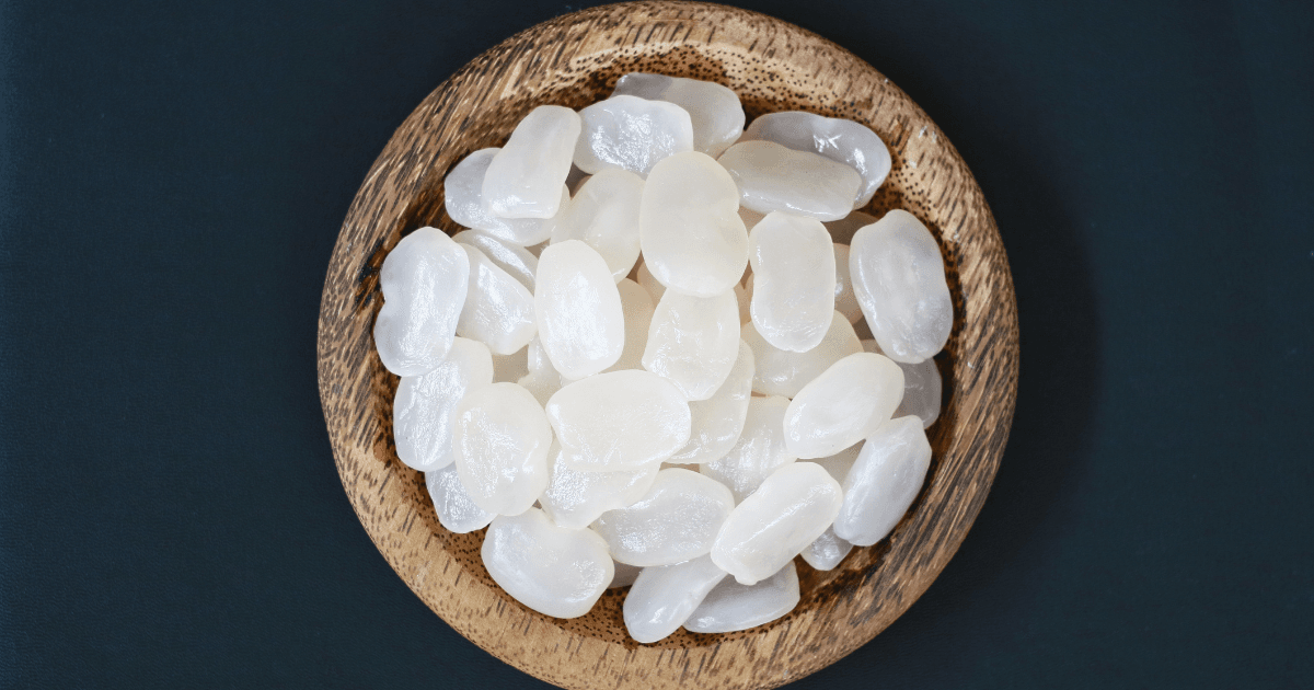 What is Sugar Palm?