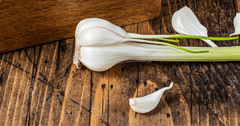 What is Green Garlic? A Culinary Exploration | The Seasoning Road
