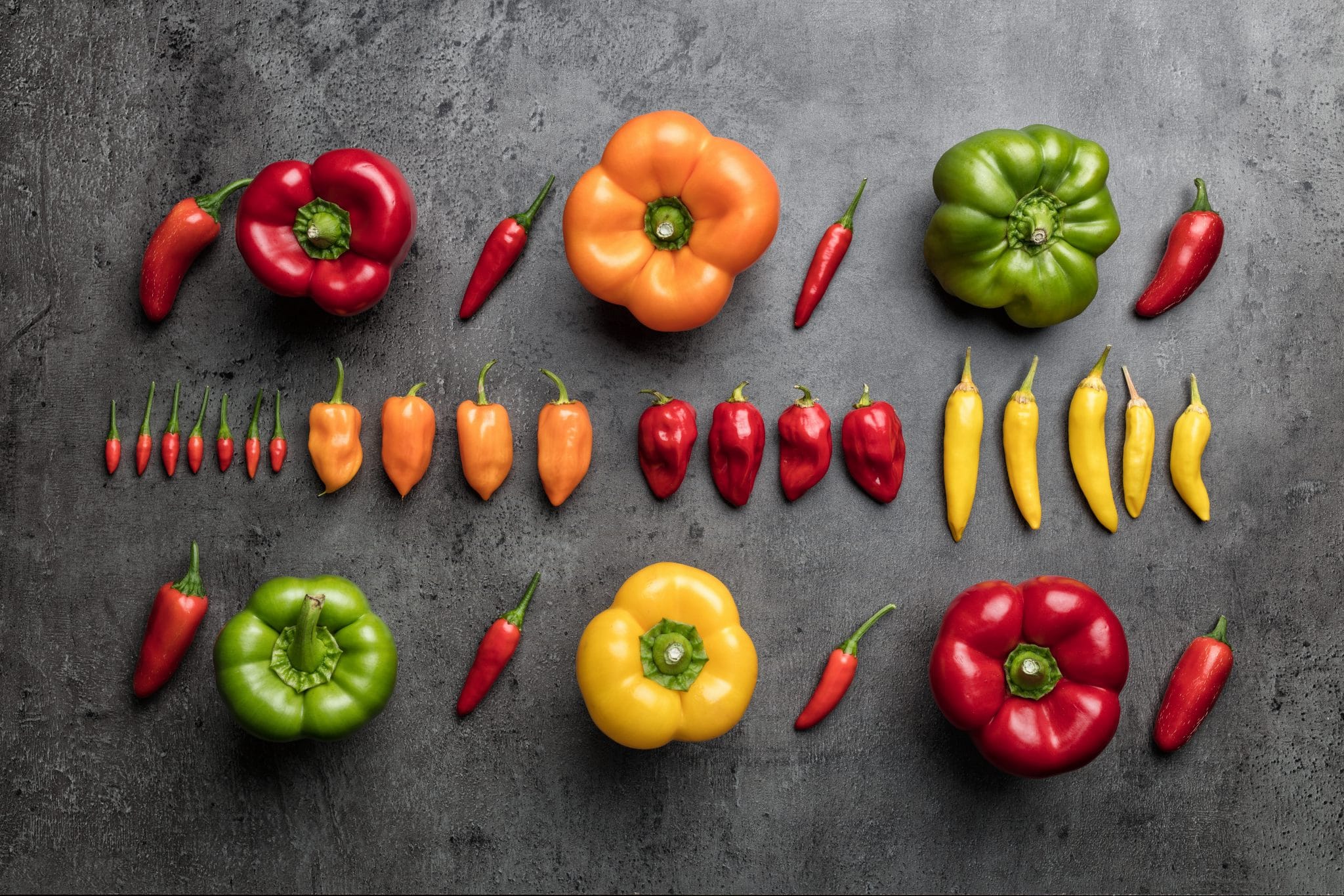 Capsicums: The Peppy Allure of Bell Peppers and Fiery Siblings | The ...
