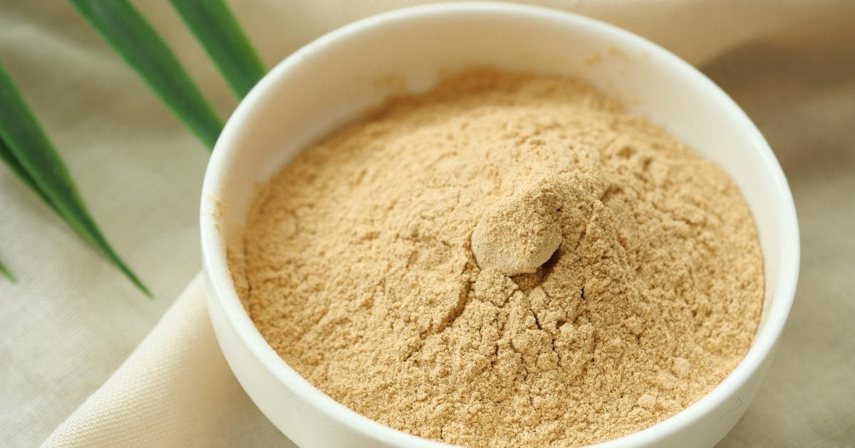 Diving into the World of Beer Powder | The Seasoning Road