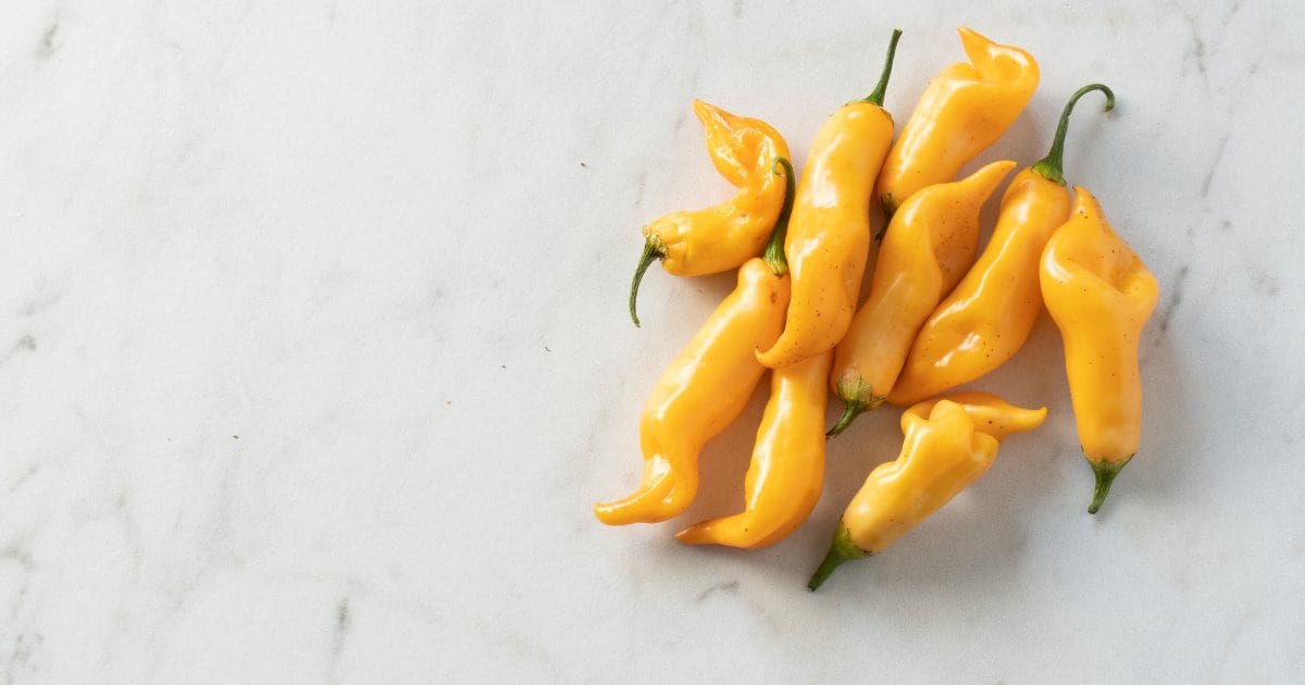 The Sweet Heat Saga of Sugar Rush Peach Peppers | The Seasoning Road