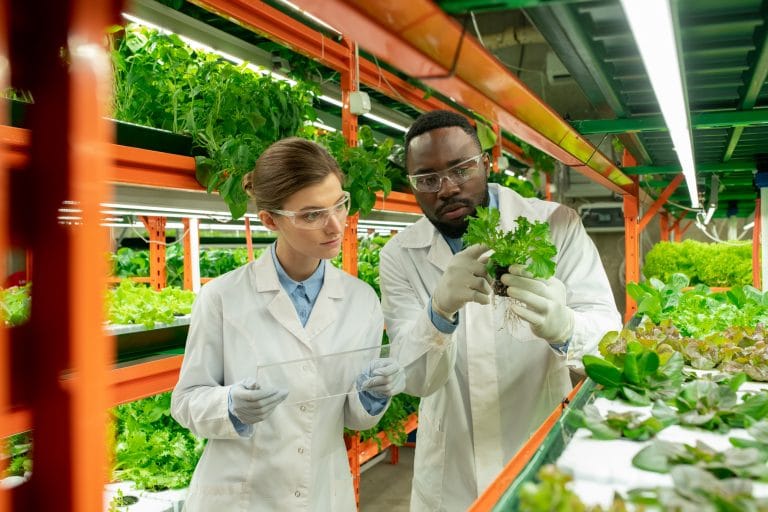 Understanding the Realities of Bioengineered Food | The Seasoning Road