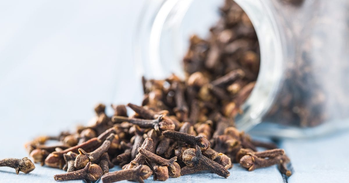 Cloves: From Ancient Spice to Modern Superfood | The Seasoning Road